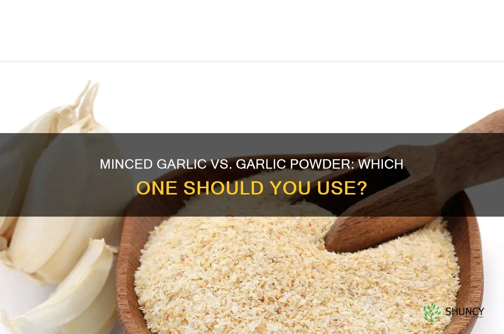 Minced Garlic Vs. Garlic Powder: Which One Should You Use? | ShunCy