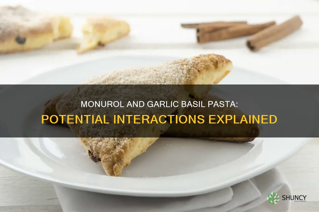 Monurol And Garlic Basil Pasta: Potential Interactions Explained | ShunCy