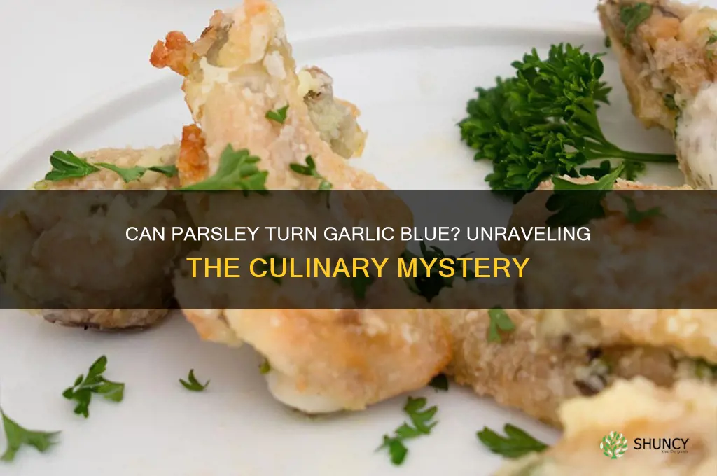 Can Parsley Turn Garlic Blue? Unraveling The Culinary Mystery | ShunCy