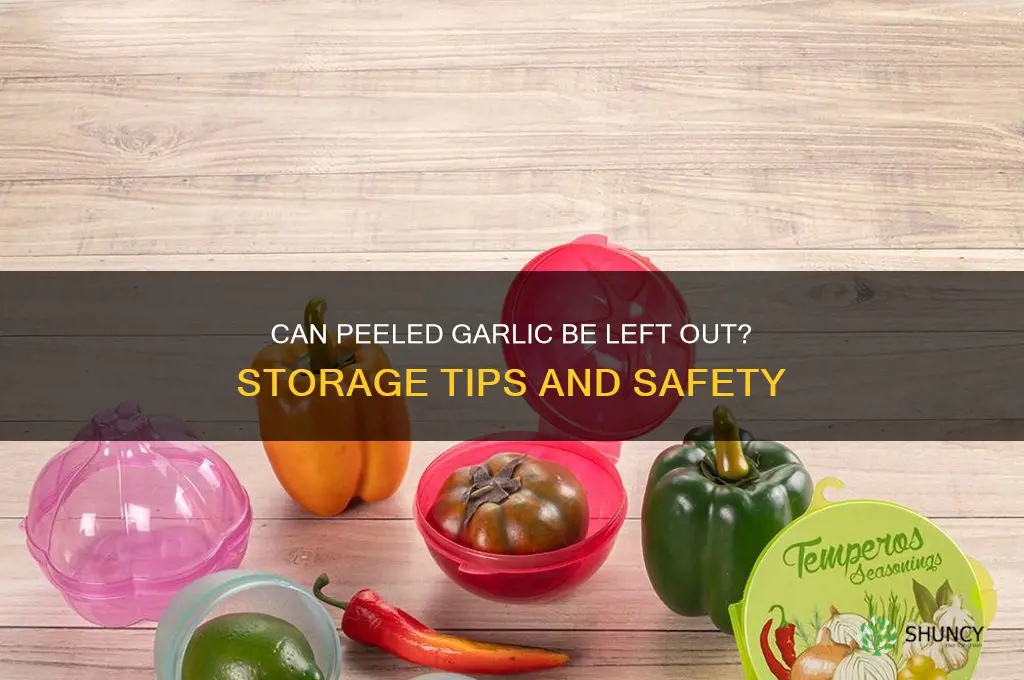 Can Peeled Garlic Be Left Out? Storage Tips And Safety | ShunCy