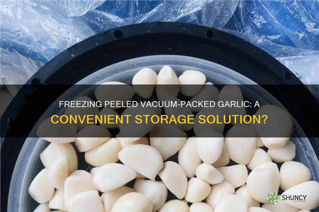 Freezing Peeled Vacuum-Packed Garlic: A Convenient Storage Solution ...