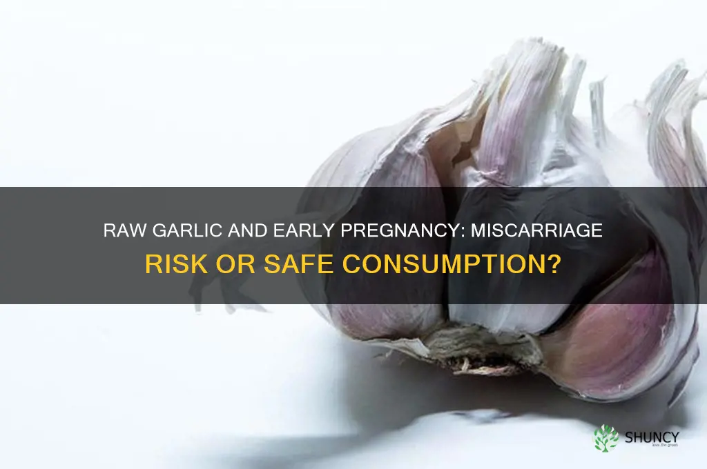 Raw Garlic And Early Pregnancy: Miscarriage Risk Or Safe Consumption ...