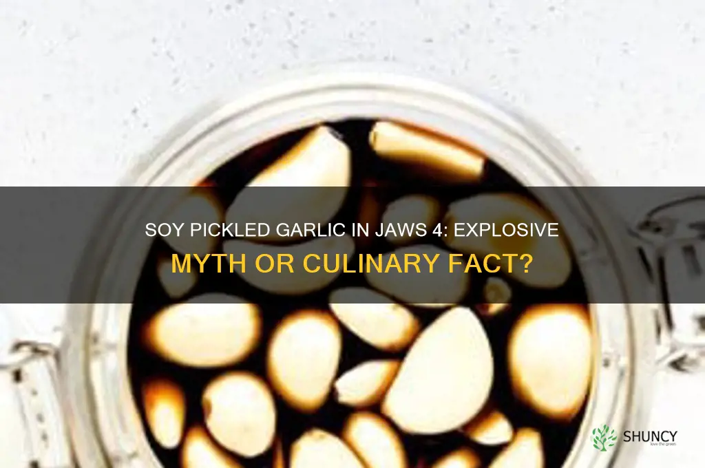 Soy Pickled Garlic In Jaws 4: Explosive Myth Or Culinary Fact? | ShunCy