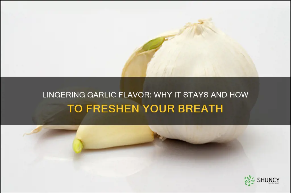 Lingering Garlic Flavor: Why It Stays And How To Freshen Your Breath ...