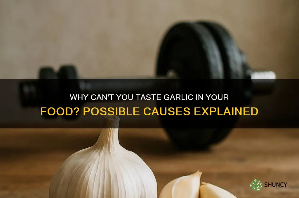 Why Can't You Taste Garlic In Your Food? Possible Causes Explained | ShunCy