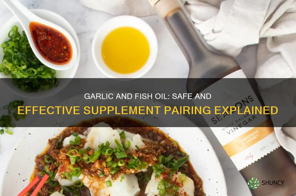 Garlic And Fish Oil: Safe And Effective Supplement Pairing Explained ...