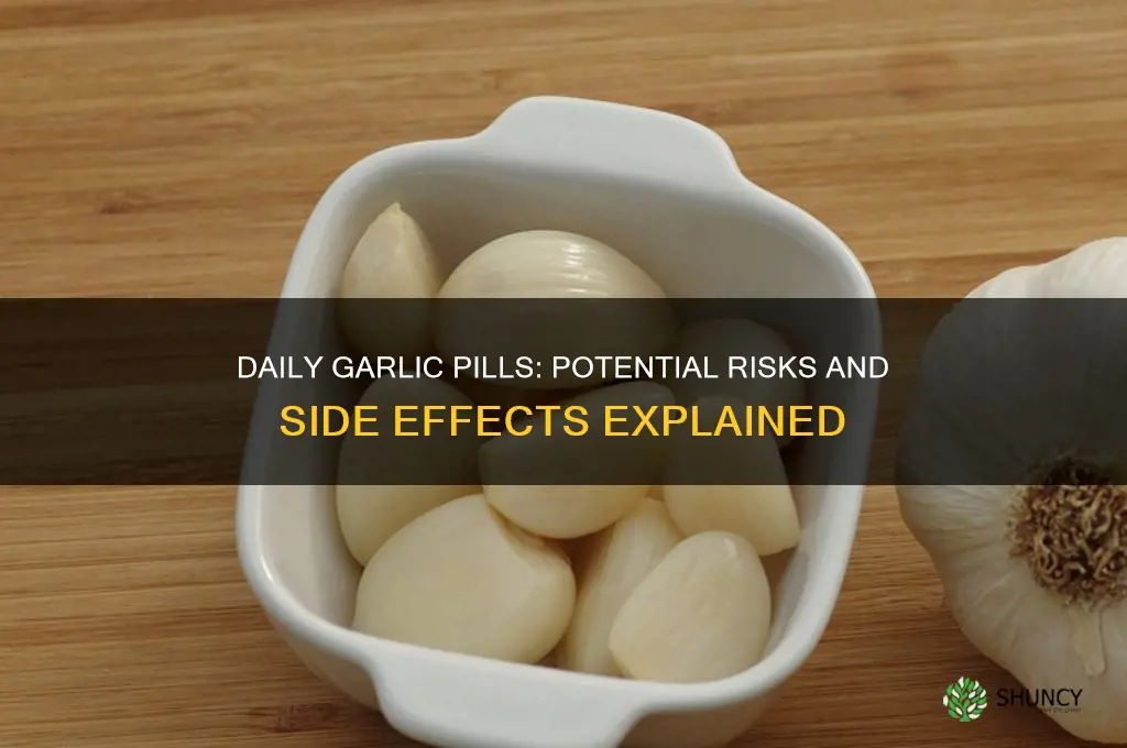 Daily Garlic Pills: Potential Risks And Side Effects Explained | ShunCy