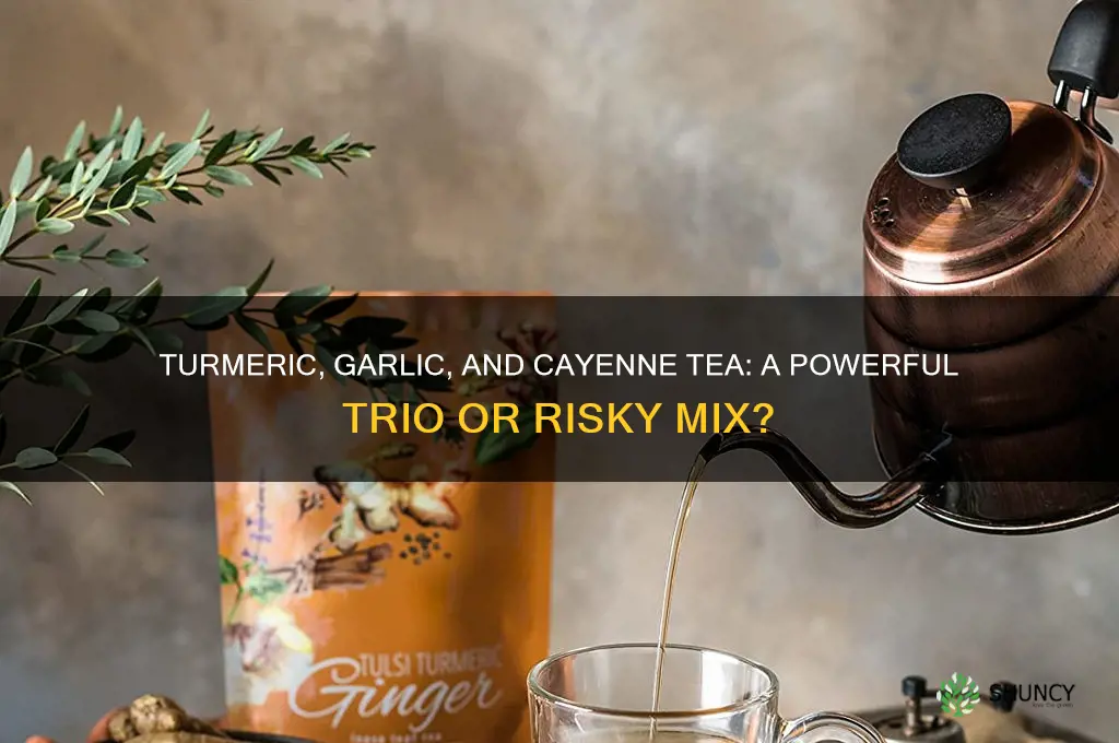 Turmeric, Garlic, And Cayenne Tea: A Powerful Trio Or Risky Mix? | ShunCy