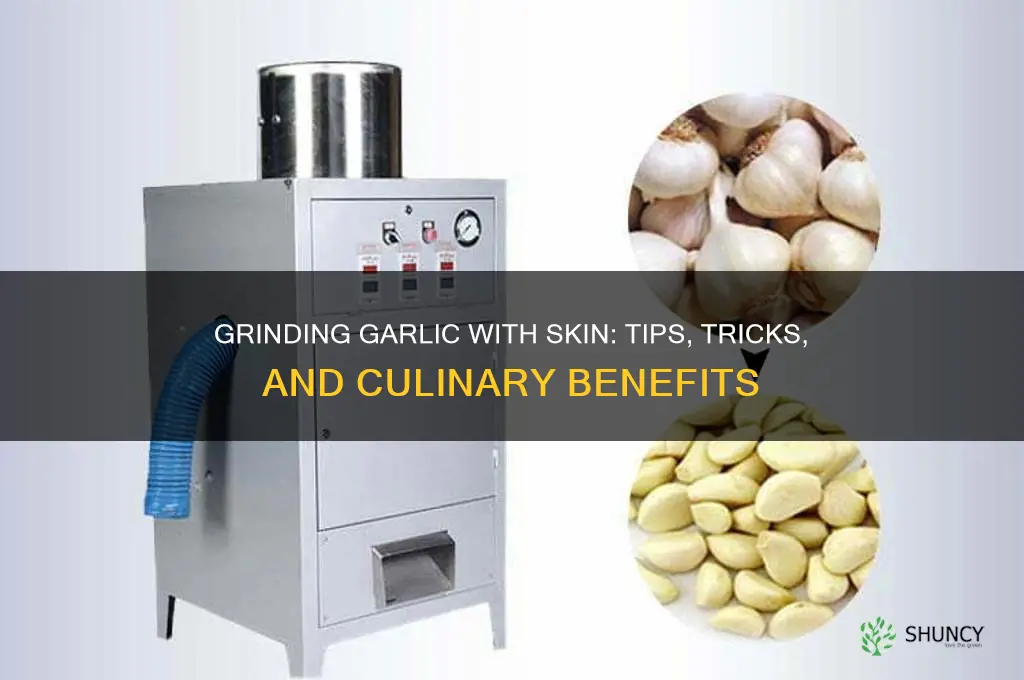Grinding Garlic With Skin: Tips, Tricks, And Culinary Benefits | ShunCy