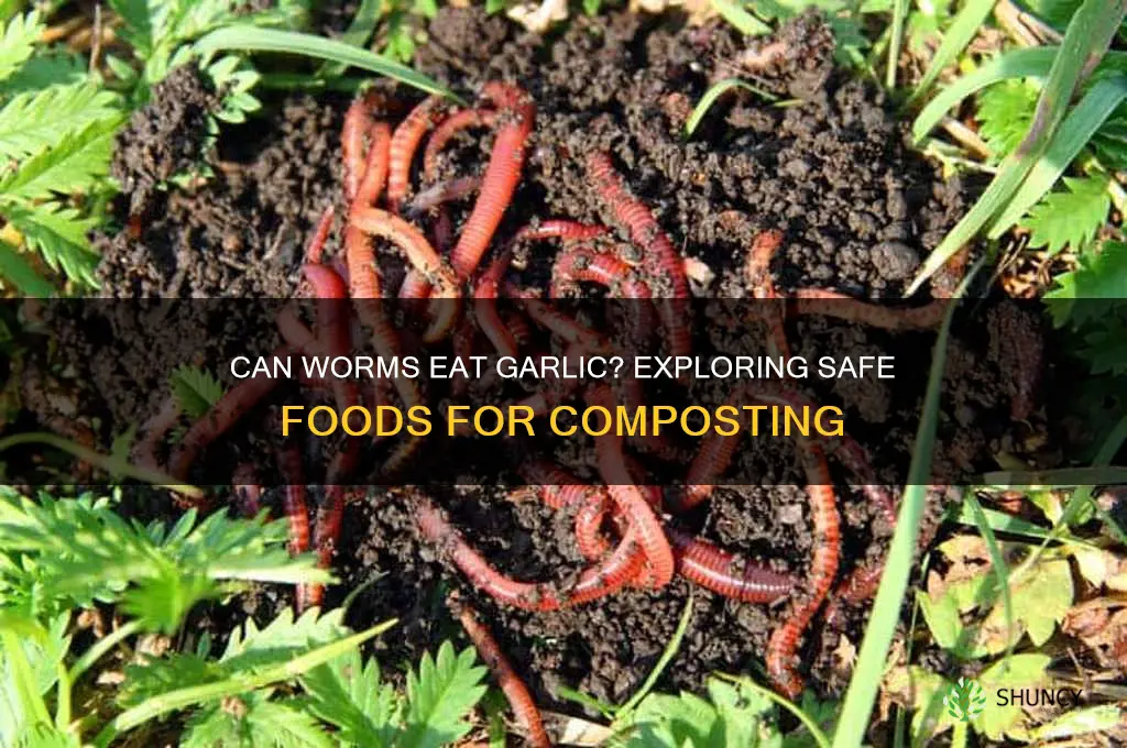 Can Worms Eat Garlic? Exploring Safe Foods For Composting | ShunCy