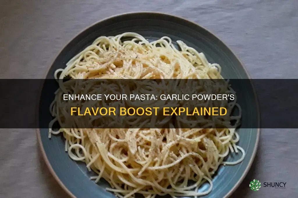 Enhance Your Pasta: Garlic Powder's Flavor Boost Explained | ShunCy