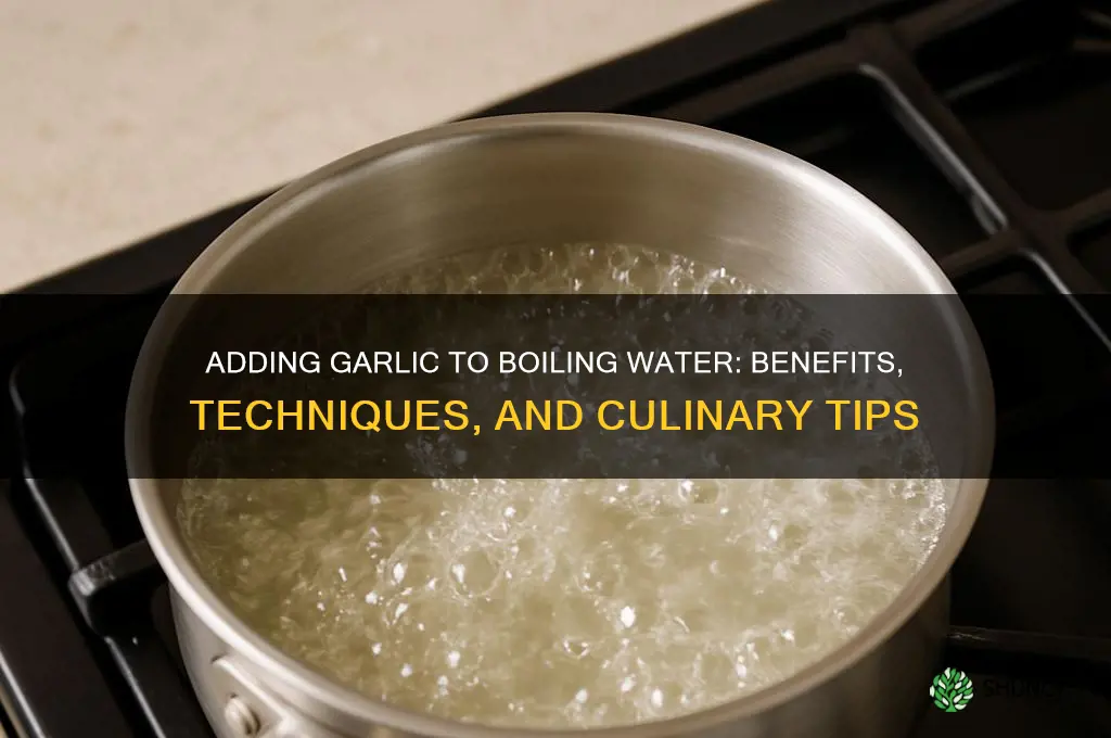 Adding Garlic To Boiling Water: Benefits, Techniques, And Culinary Tips ...