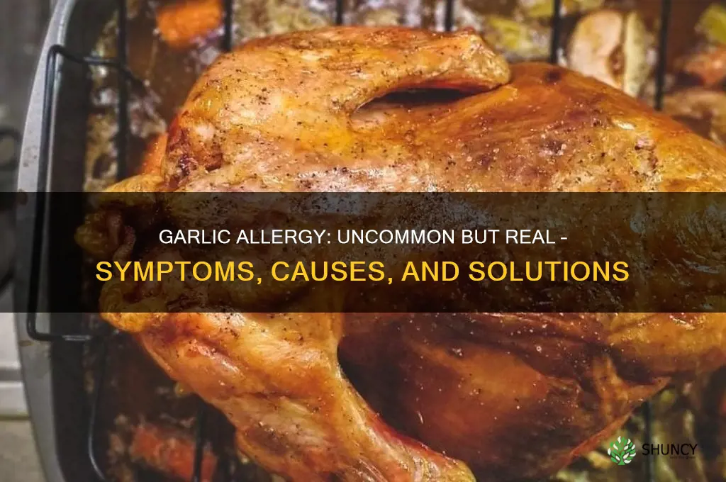 Garlic Allergy: Uncommon But Real – Symptoms, Causes, And Solutions ...