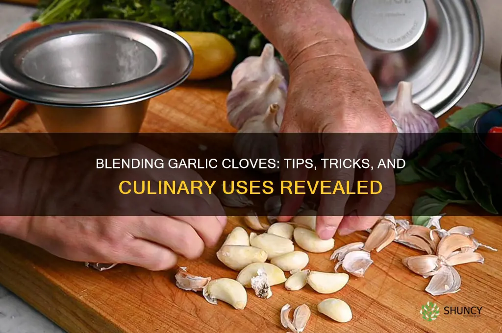 Blending Garlic Cloves: Tips, Tricks, And Culinary Uses Revealed | ShunCy