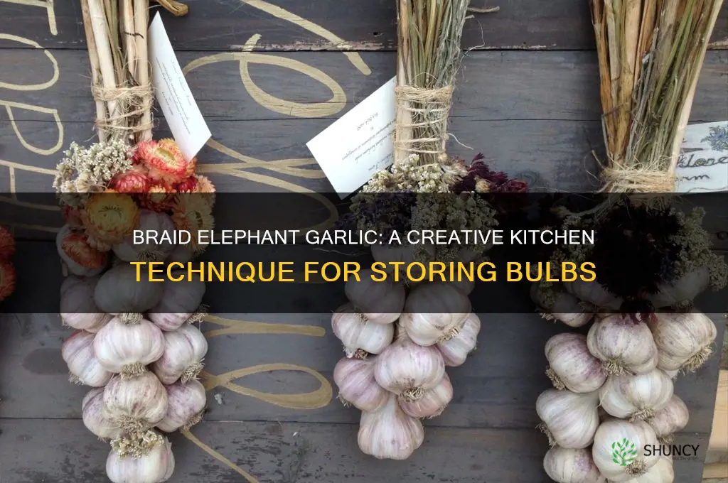 Braid Elephant Garlic: A Creative Kitchen Technique For Storing Bulbs ...