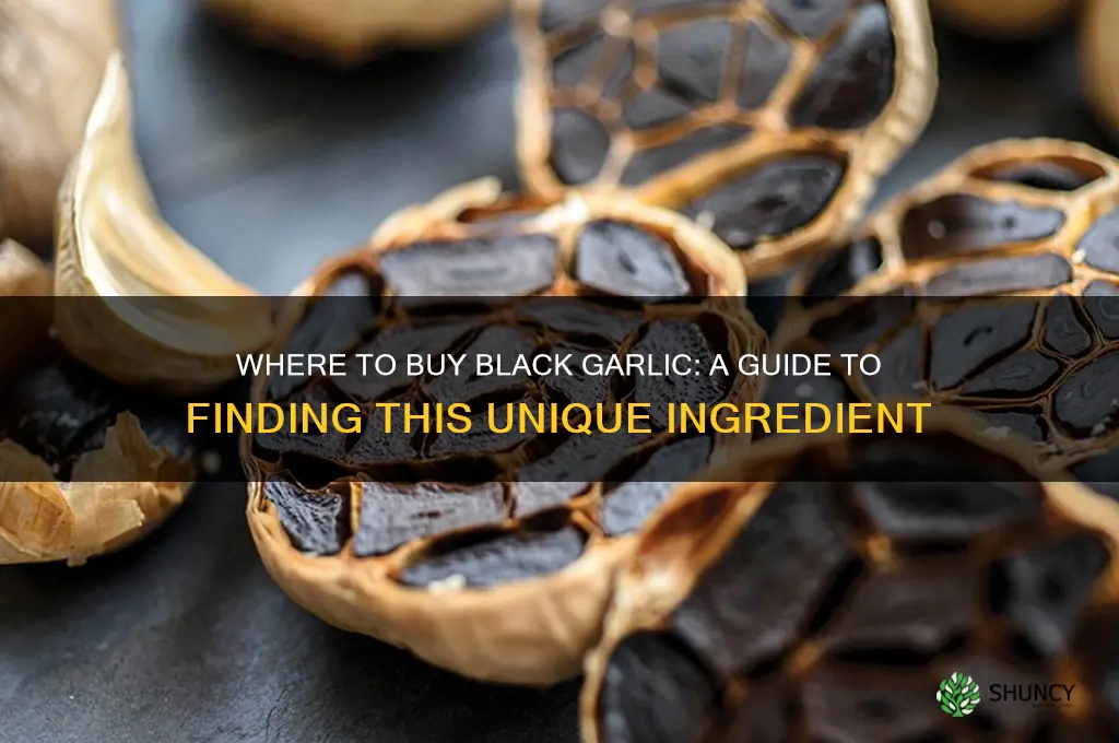 Where To Buy Black Garlic: A Guide To Finding This Unique Ingredient ...