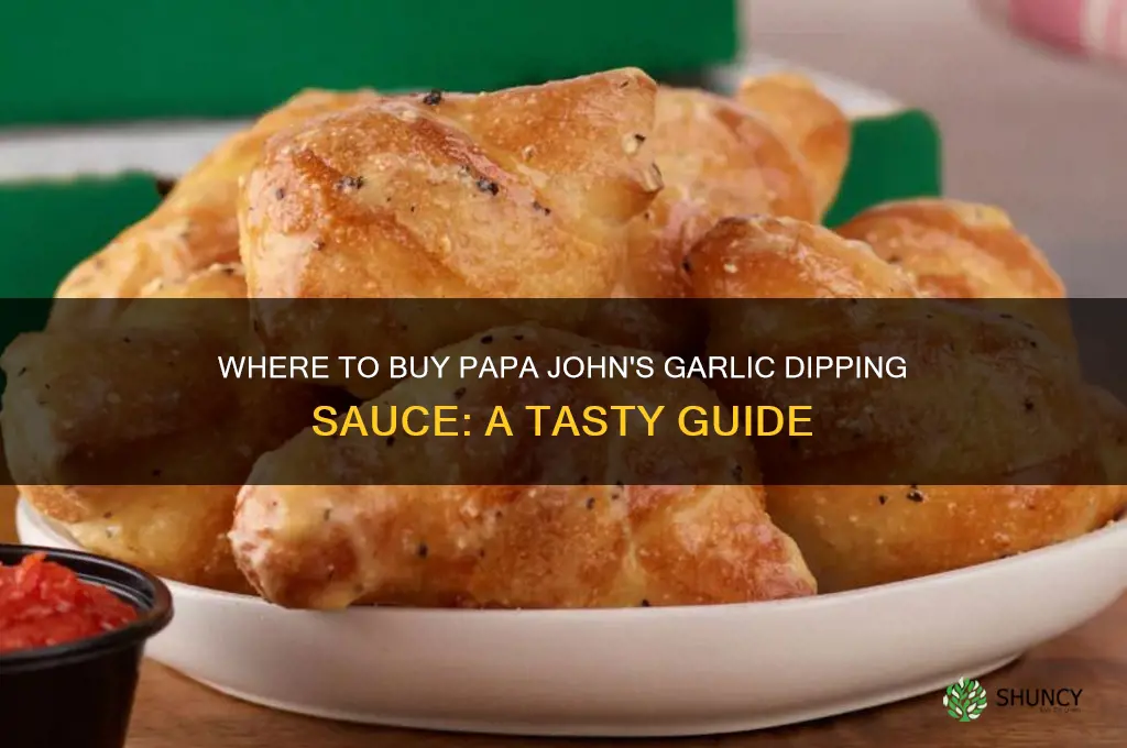 Where To Buy Papa John's Garlic Dipping Sauce: A Tasty Guide | ShunCy