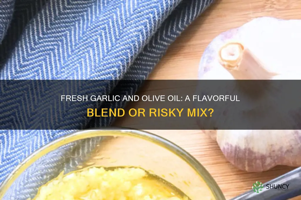 Fresh Garlic And Olive Oil: A Flavorful Blend Or Risky Mix? | ShunCy