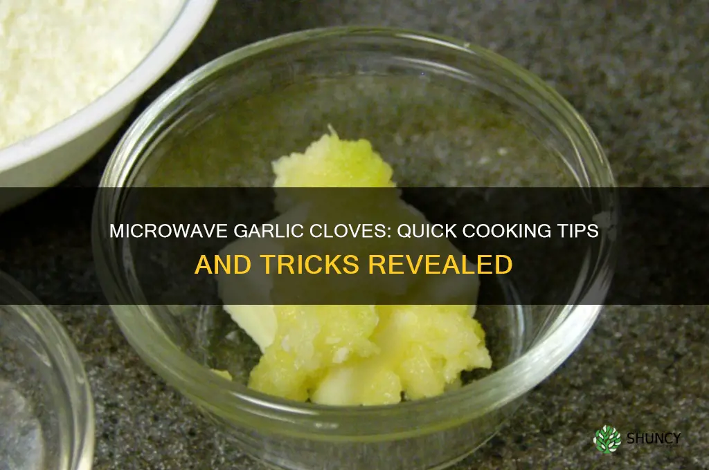 Microwave Garlic Cloves: Quick Cooking Tips And Tricks Revealed | ShunCy