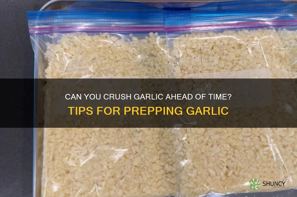 Can You Crush Garlic Ahead Of Time? Tips For Prepping Garlic | ShunCy