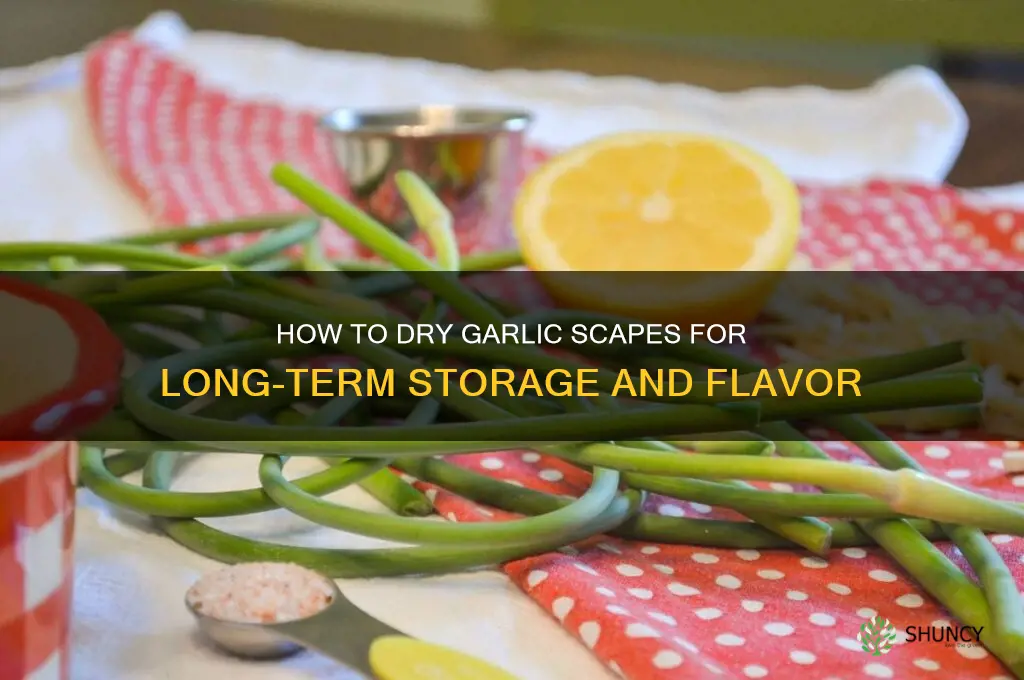 How To Dry Garlic Scapes For Long-Term Storage And Flavor | ShunCy