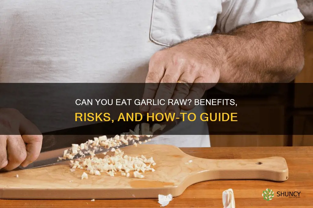 Can You Eat Garlic Raw? Benefits, Risks, And How-To Guide | ShunCy