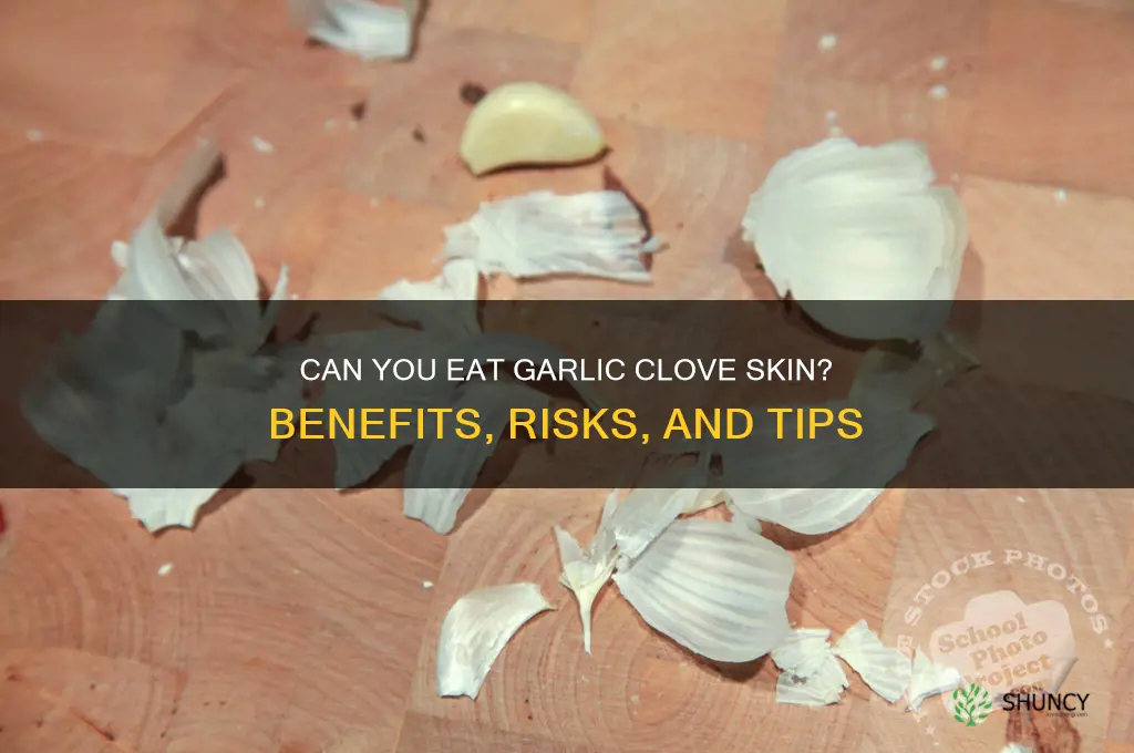 Can You Eat Garlic Clove Skin? Benefits, Risks, And Tips | ShunCy