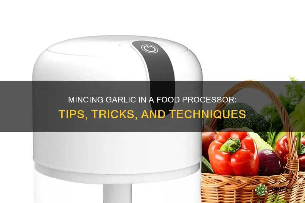 Mincing Garlic In A Food Processor: Tips, Tricks, And Techniques | ShunCy