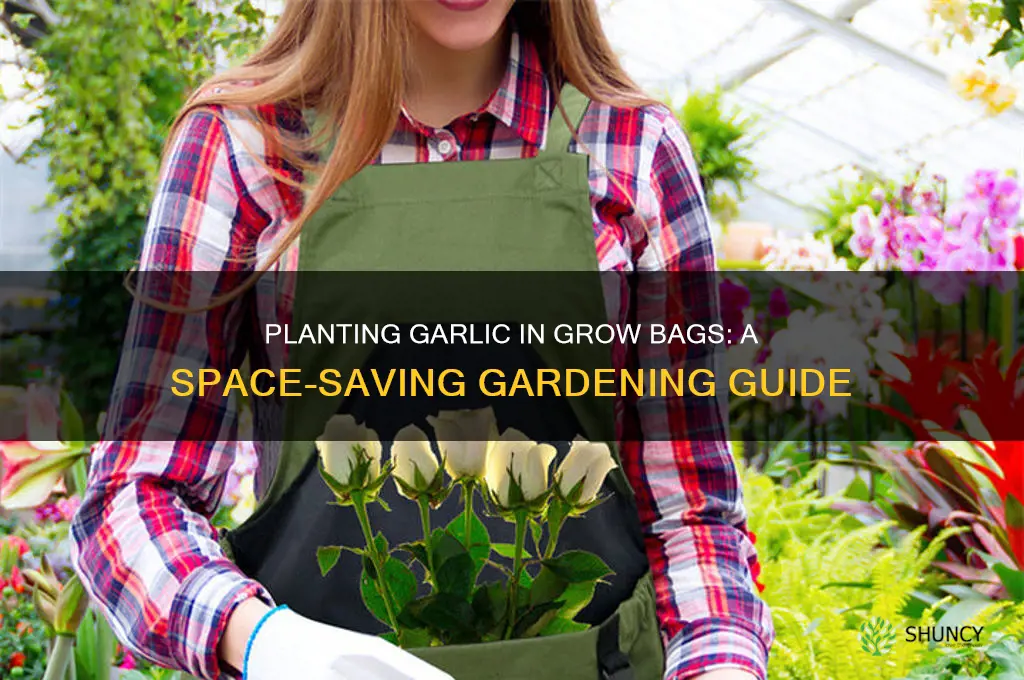 Planting Garlic In Grow Bags: A Space-Saving Gardening Guide | ShunCy