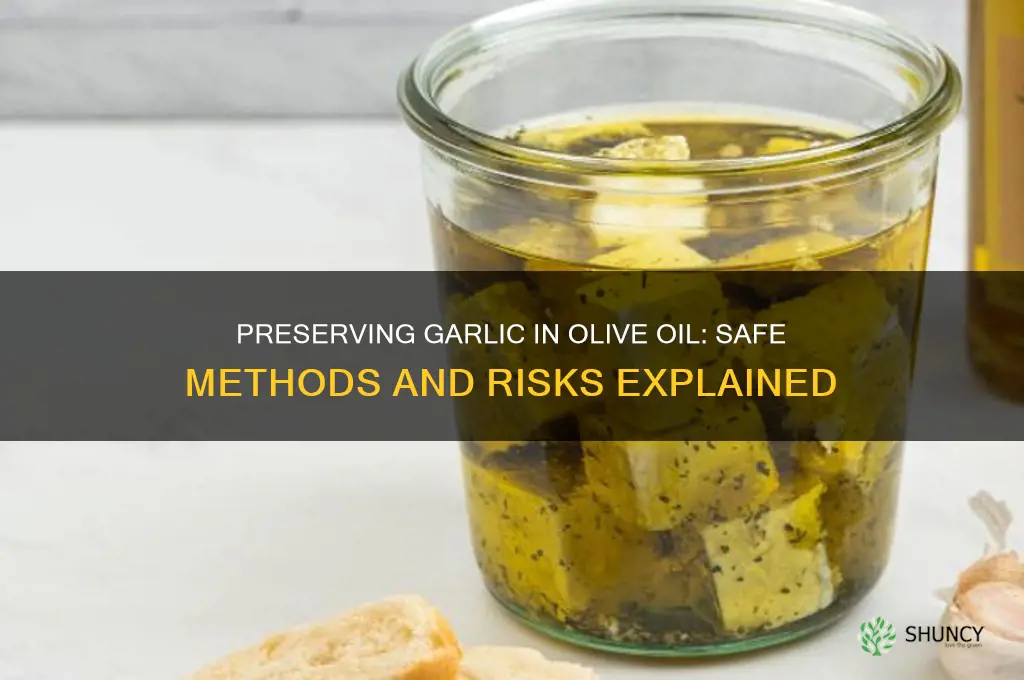 Preserving Garlic In Olive Oil: Safe Methods And Risks Explained | ShunCy