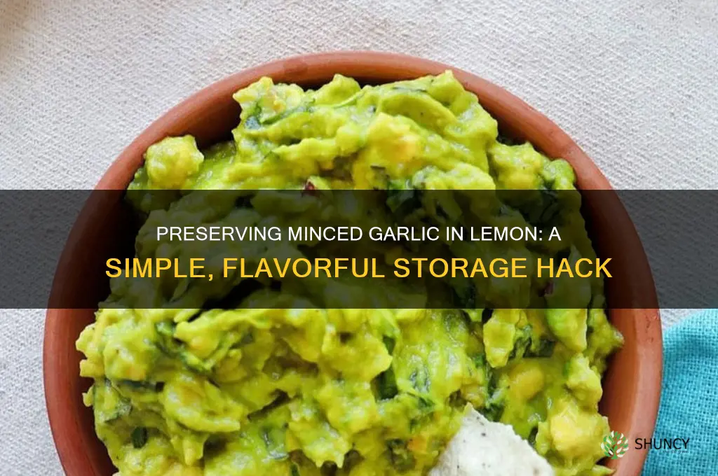 Preserving Minced Garlic In Lemon: A Simple, Flavorful Storage Hack ...