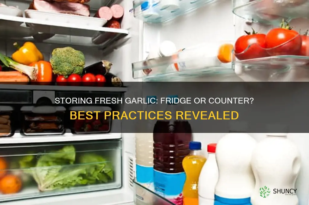 Storing Fresh Garlic: Fridge Or Counter? Best Practices Revealed | ShunCy