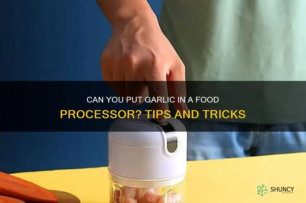 Can You Put Garlic In A Food Processor? Tips And Tricks | ShunCy