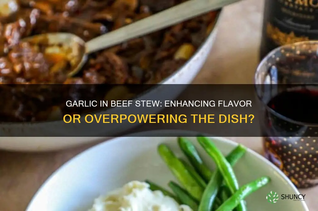Garlic In Beef Stew: Enhancing Flavor Or Overpowering The Dish? | ShunCy