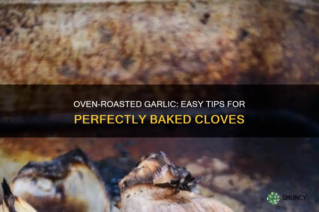 Oven-Roasted Garlic: Easy Tips For Perfectly Baked Cloves | ShunCy