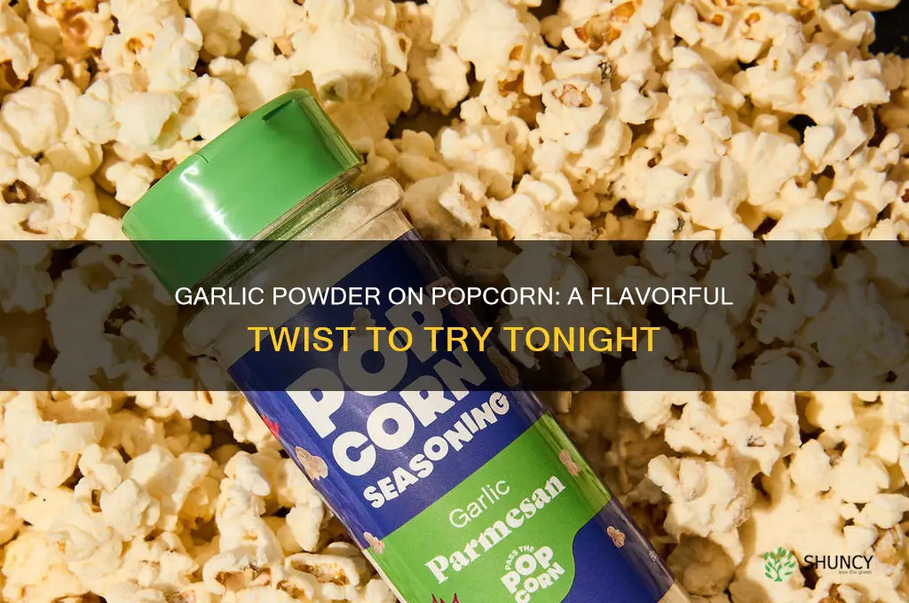 Garlic Powder On Popcorn: A Flavorful Twist To Try Tonight | ShunCy