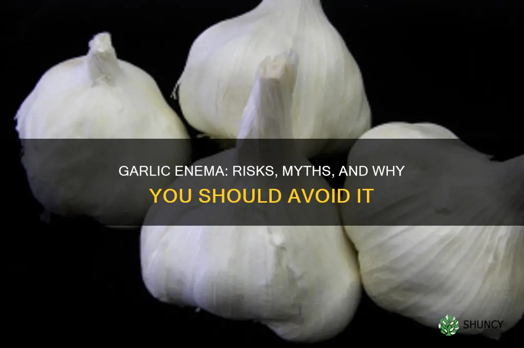 Garlic Enema: Risks, Myths, And Why You Should Avoid It | ShunCy