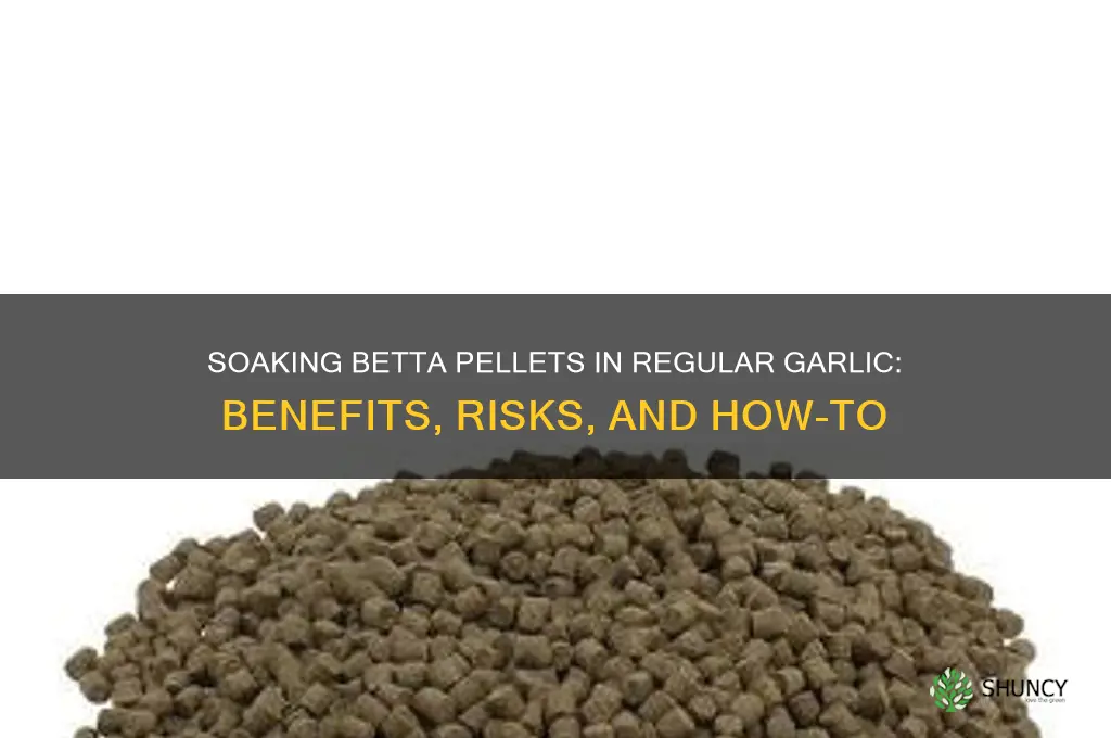 Soaking Betta Pellets In Regular Garlic: Benefits, Risks, And How-To ...