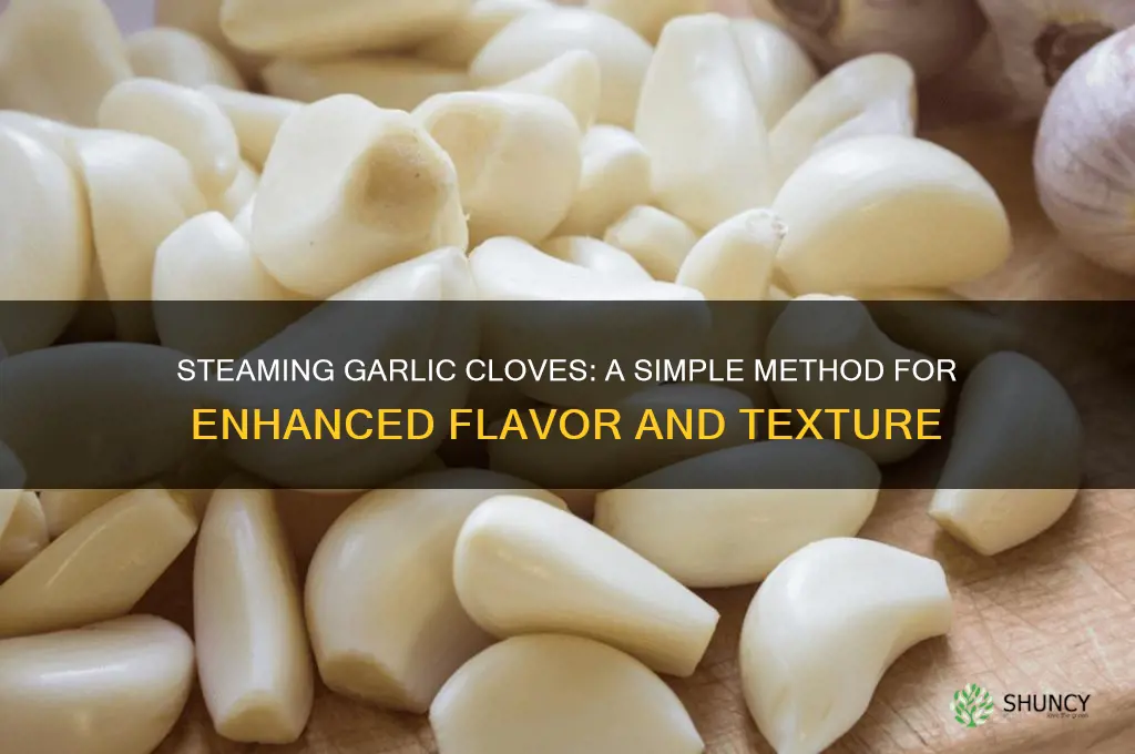Steaming Garlic Cloves: A Simple Method For Enhanced Flavor And Texture ...