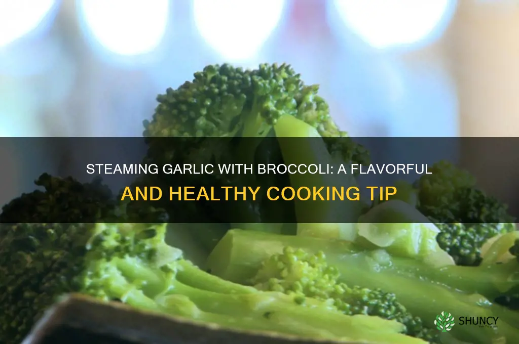 Steaming Garlic With Broccoli: A Flavorful And Healthy Cooking Tip | ShunCy