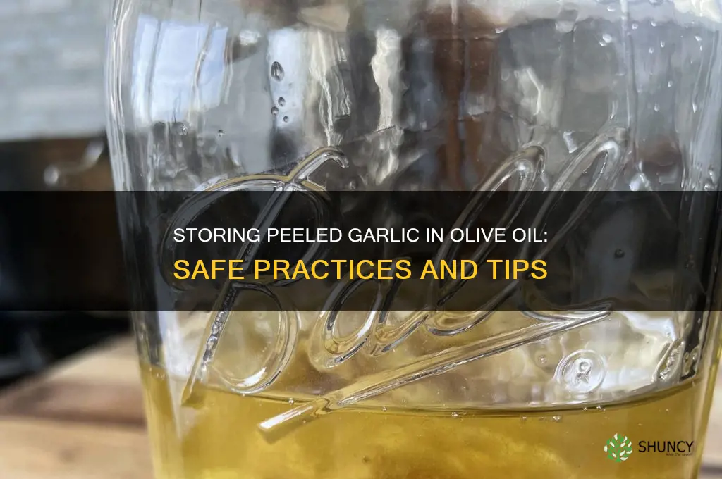 Storing Peeled Garlic In Olive Oil: Safe Practices And Tips | ShunCy