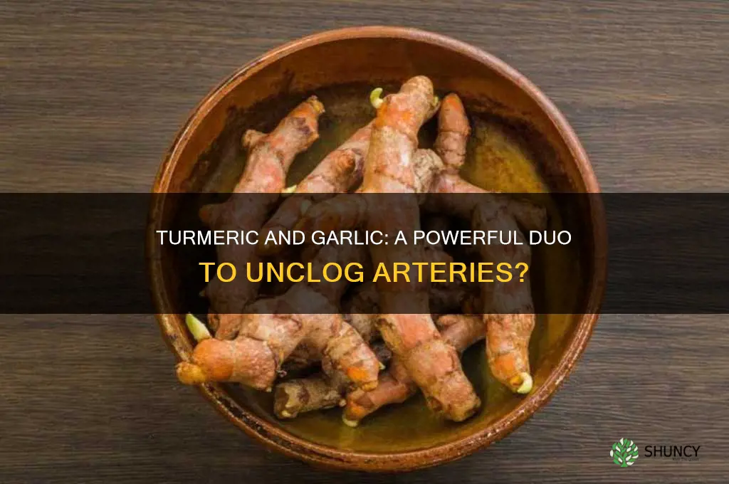 Turmeric And Garlic: A Powerful Duo To Unclog Arteries? | ShunCy