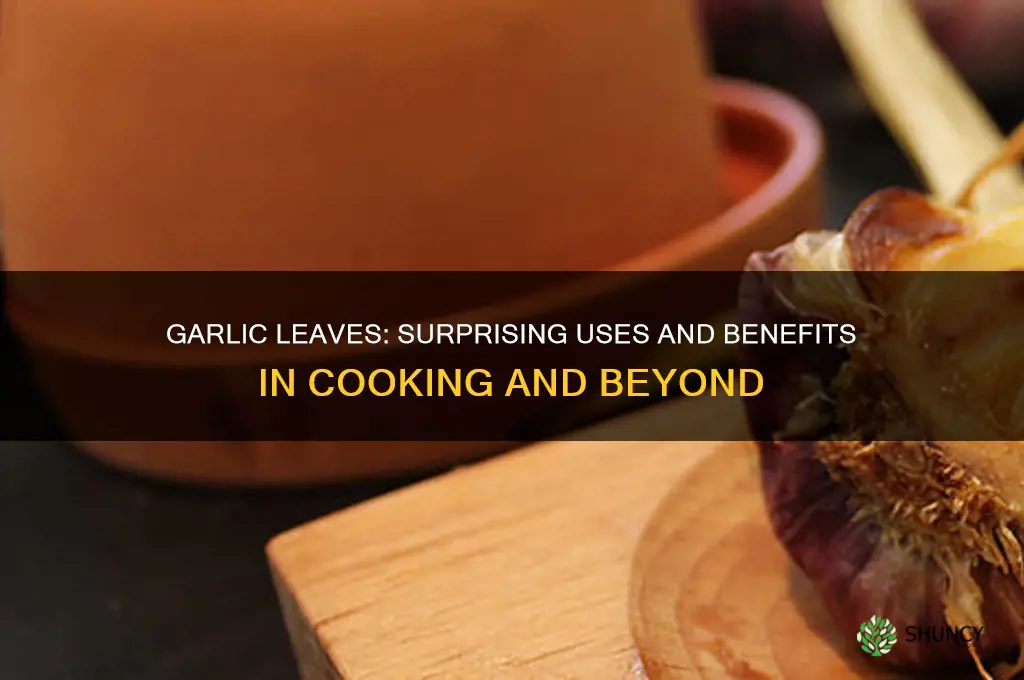 Garlic Leaves: Surprising Uses And Benefits In Cooking And Beyond | ShunCy