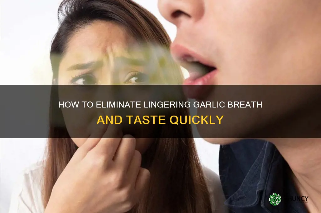How To Eliminate Lingering Garlic Breath And Taste Quickly | ShunCy