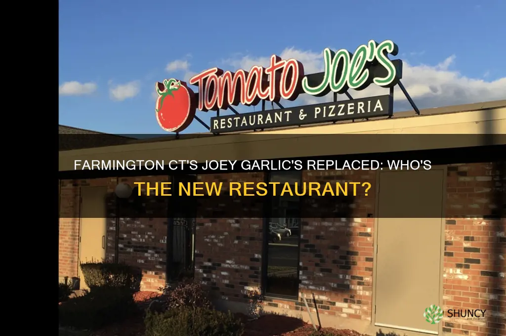 Farmington Ct's Joey Garlic's Replaced: Who's The New Restaurant? | ShunCy