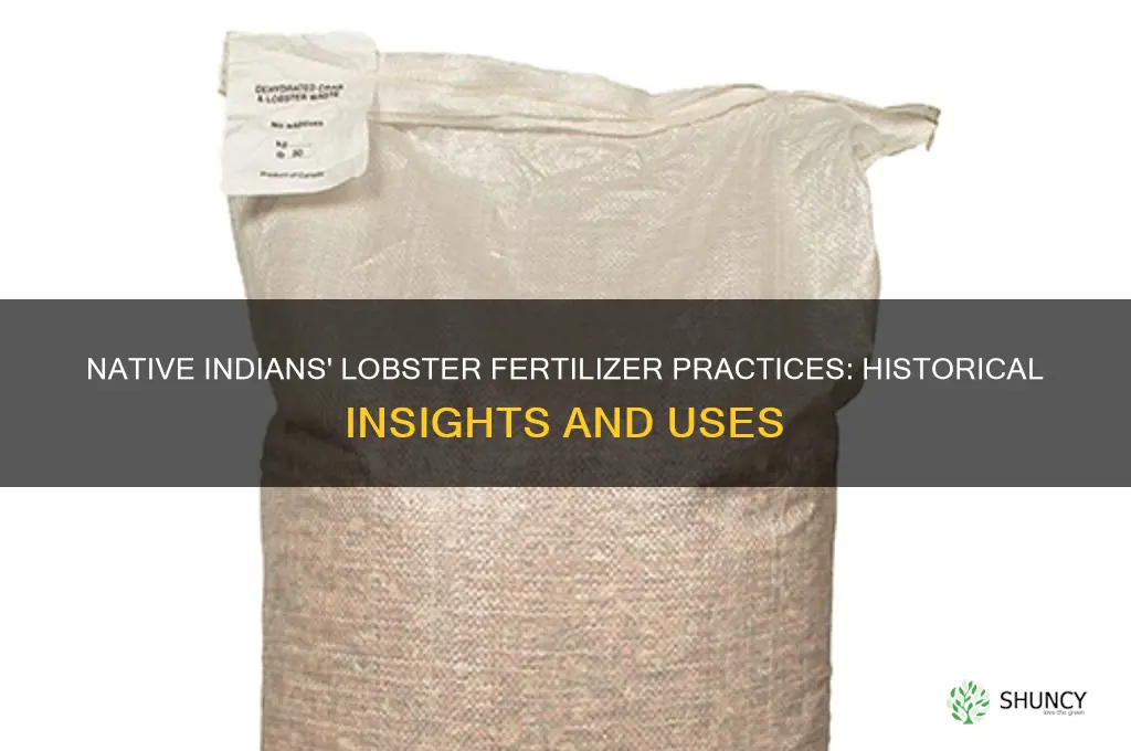 Native Indians' Lobster Fertilizer Practices: Historical Insights And ...