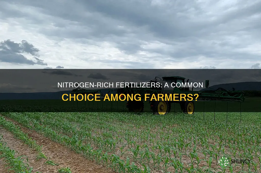 Nitrogen-Rich Fertilizers: A Common Choice Among Farmers? | ShunCy