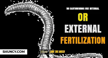 Internal Vs. External Fertilization: Unveiling The Reproductive Secrets ...