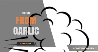 Garlic's Gassy Side: Unraveling The Science Behind Smelly Farts | ShunCy
