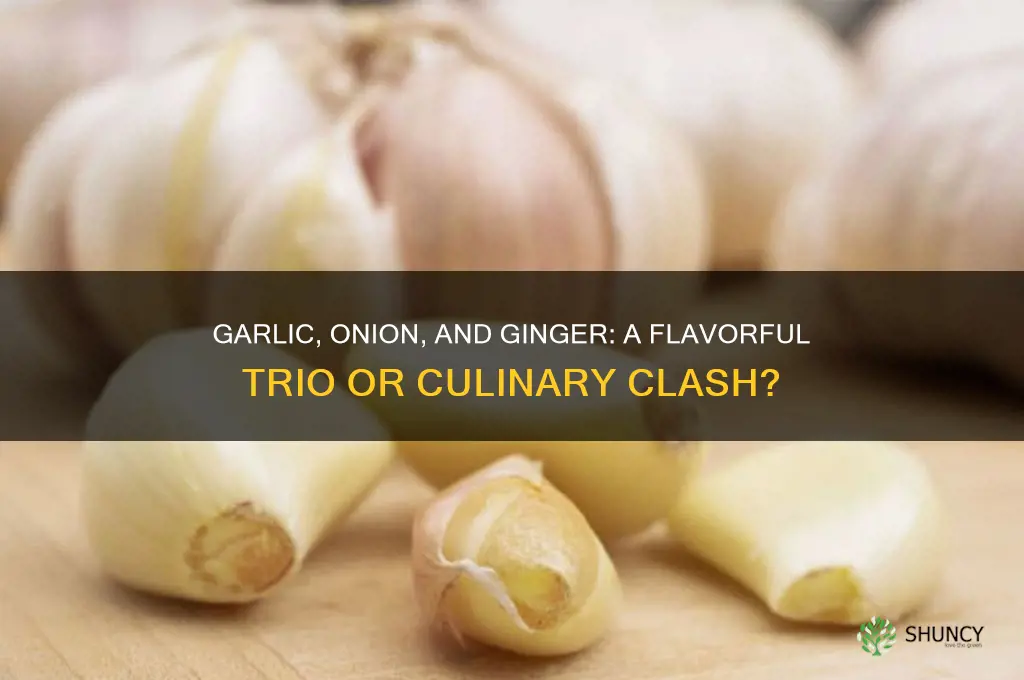 Garlic, Onion, And Ginger: A Flavorful Trio Or Culinary Clash? | ShunCy
